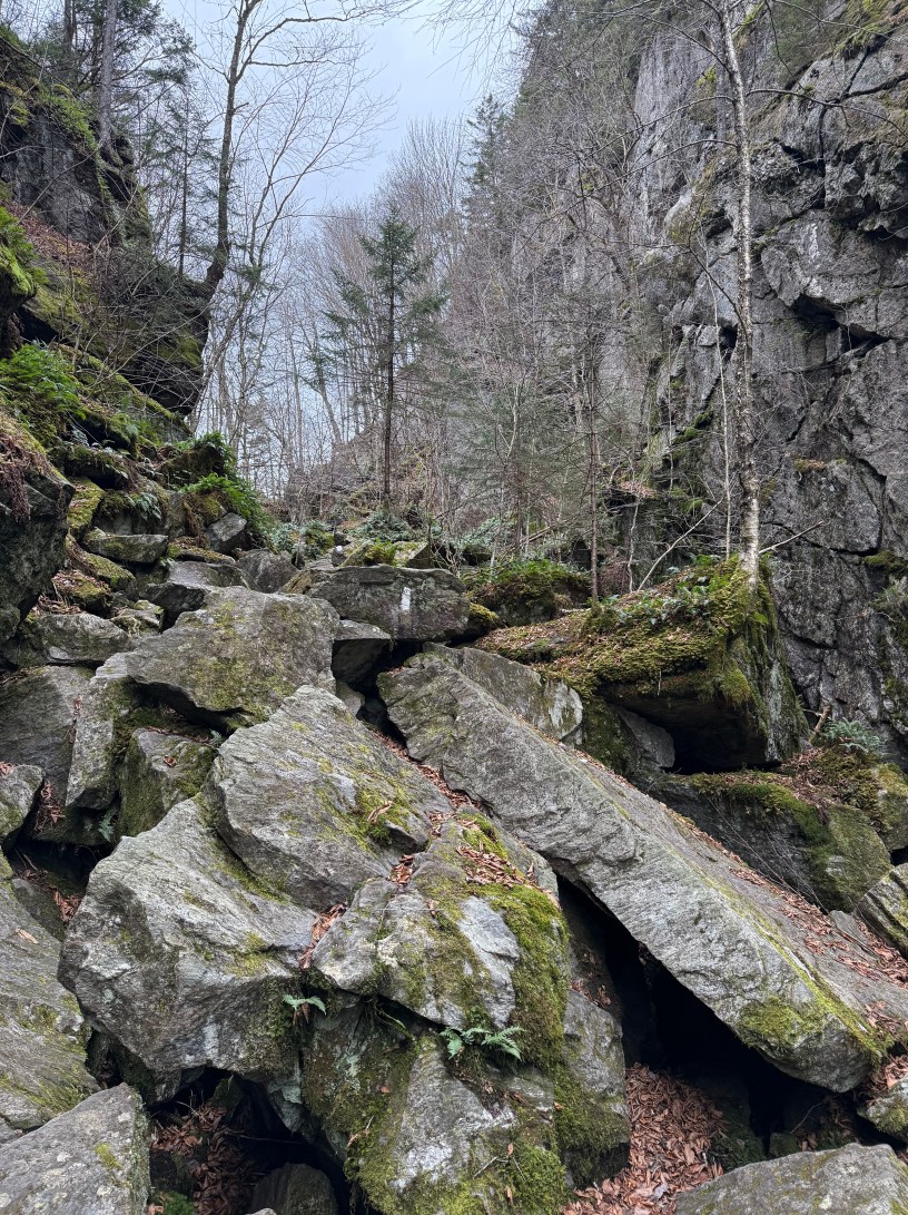 Exploring Devil’s Gulch – Researching the American Revolution